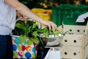 8 Tips for Using Your Farm Share Veggies - Hälsa Nutrition
