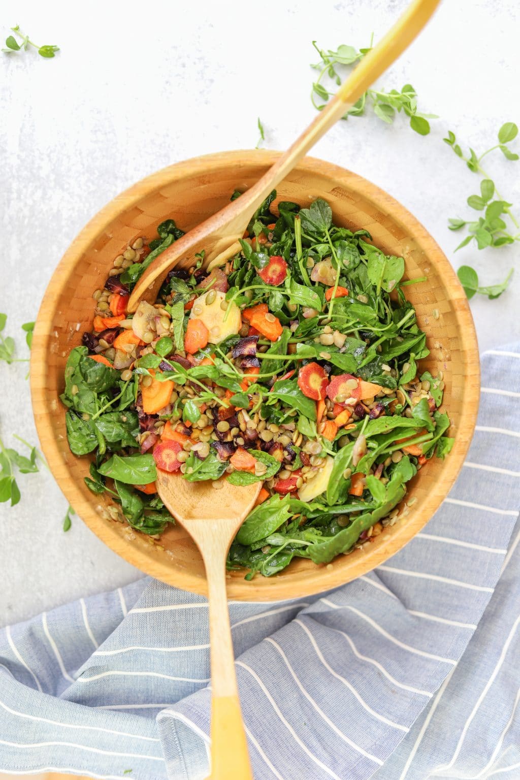 10 Simple Plant-Forward Eating Tips for Families - Hälsa Nutrition