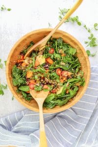 10 Simple Plant-Forward Eating Tips for Families - Hälsa Nutrition