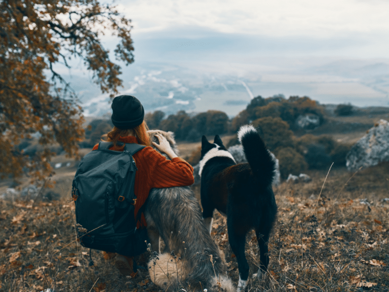 The Swedish Concept of "Lagom" and Intuitive Eating - Hälsa Nutrition